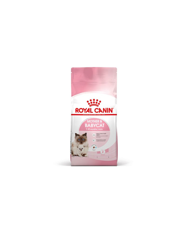Royal Canin Mother Babycat gatos cachorros